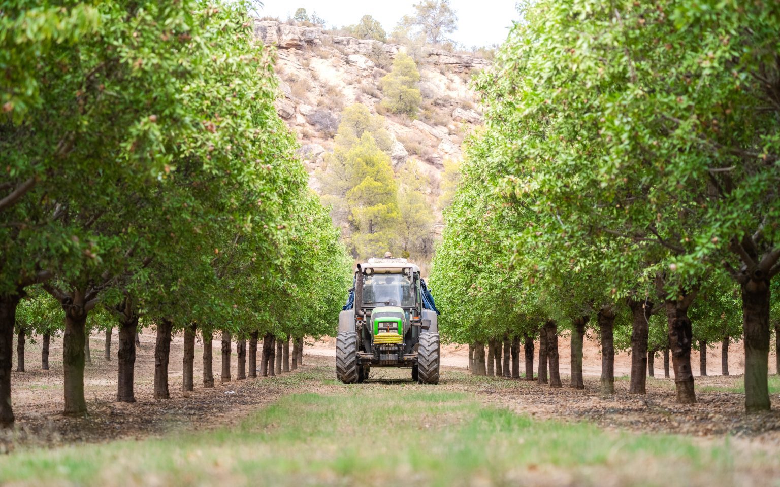 Delivering innovative solutions with purpose | Sienna Investment Managers